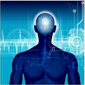 Human Body Communication